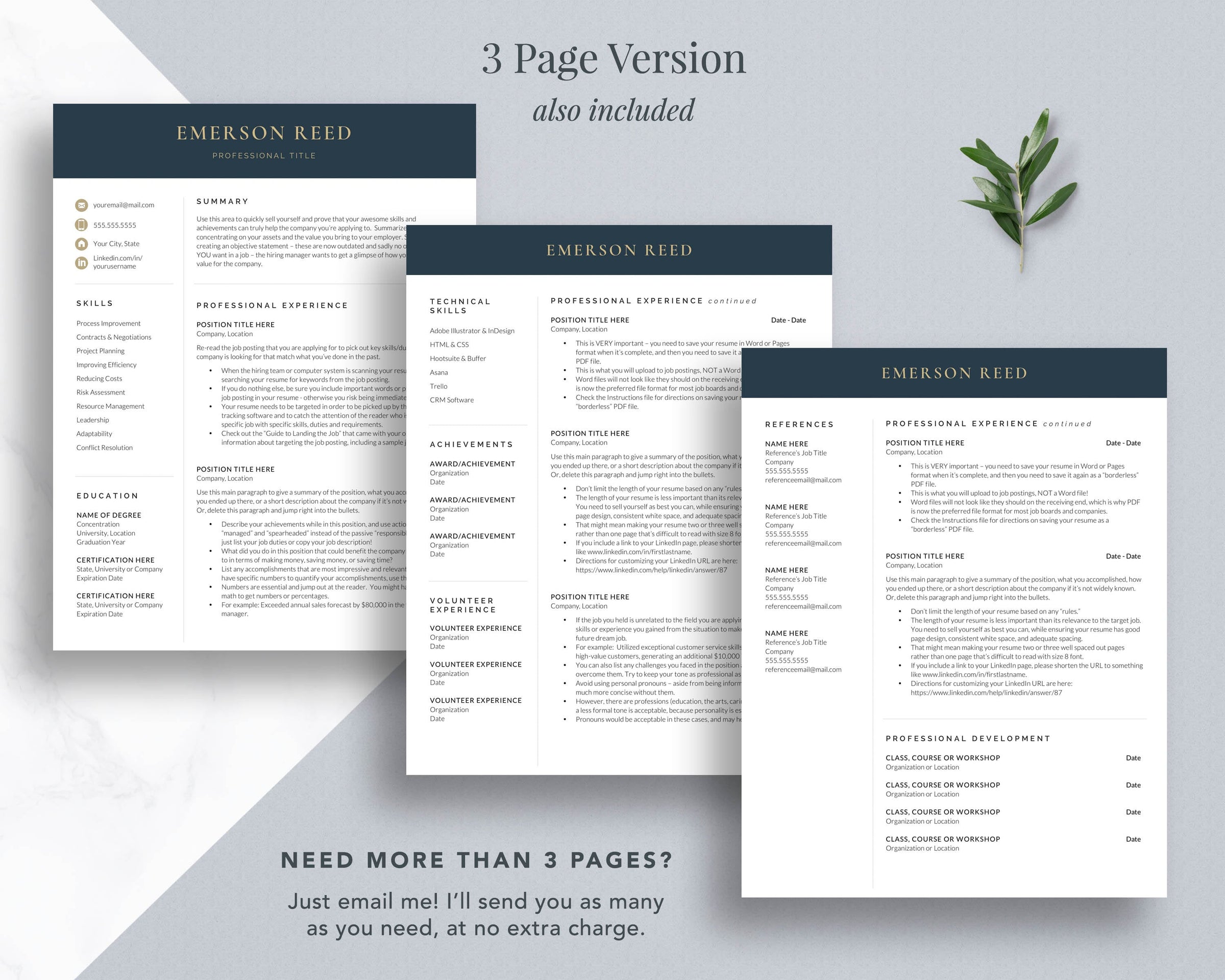 Executive Resume Template for Google Docs, Word & Mac Pages